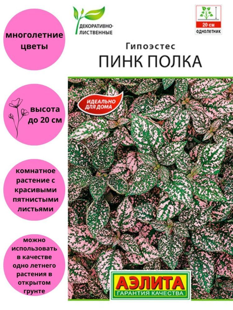 Гипоэстес Пинк Полка, семена Аэлита 20шт — купить в интернет-магазине с ...