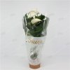 Антуриум Андре Элидо Anthurium andraeanum Elido 4+ 40/12 — комнатное ...